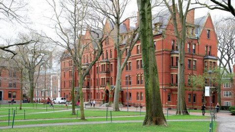 10 Mind Blowing Facts About Harvard University in 2025 [Updated ...