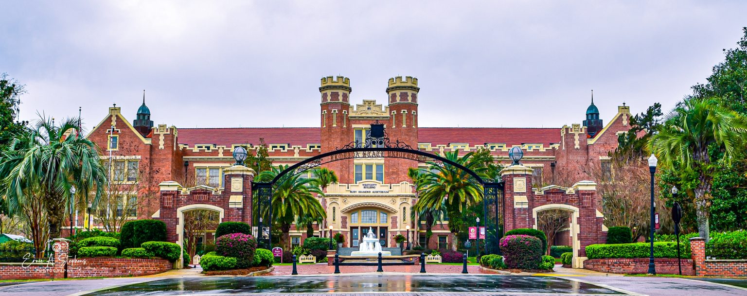 University Of Florida Admission Requirements - unischolars blog