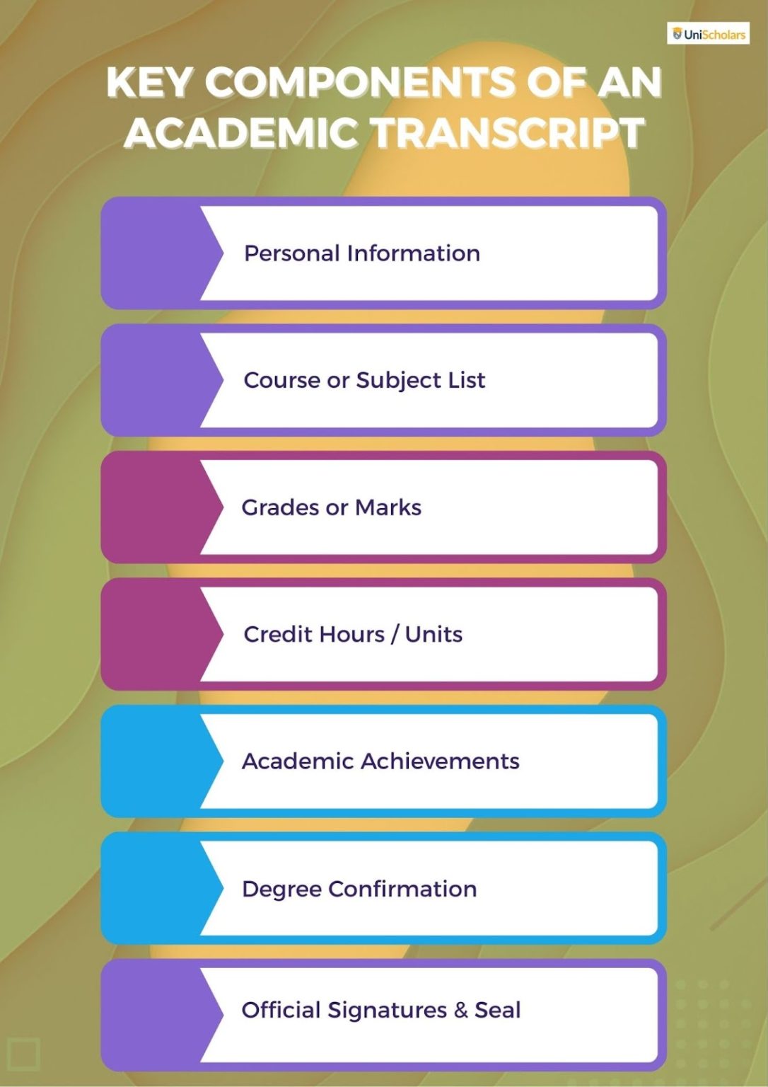 What Are Academic Transcripts? A Complete Student Guide